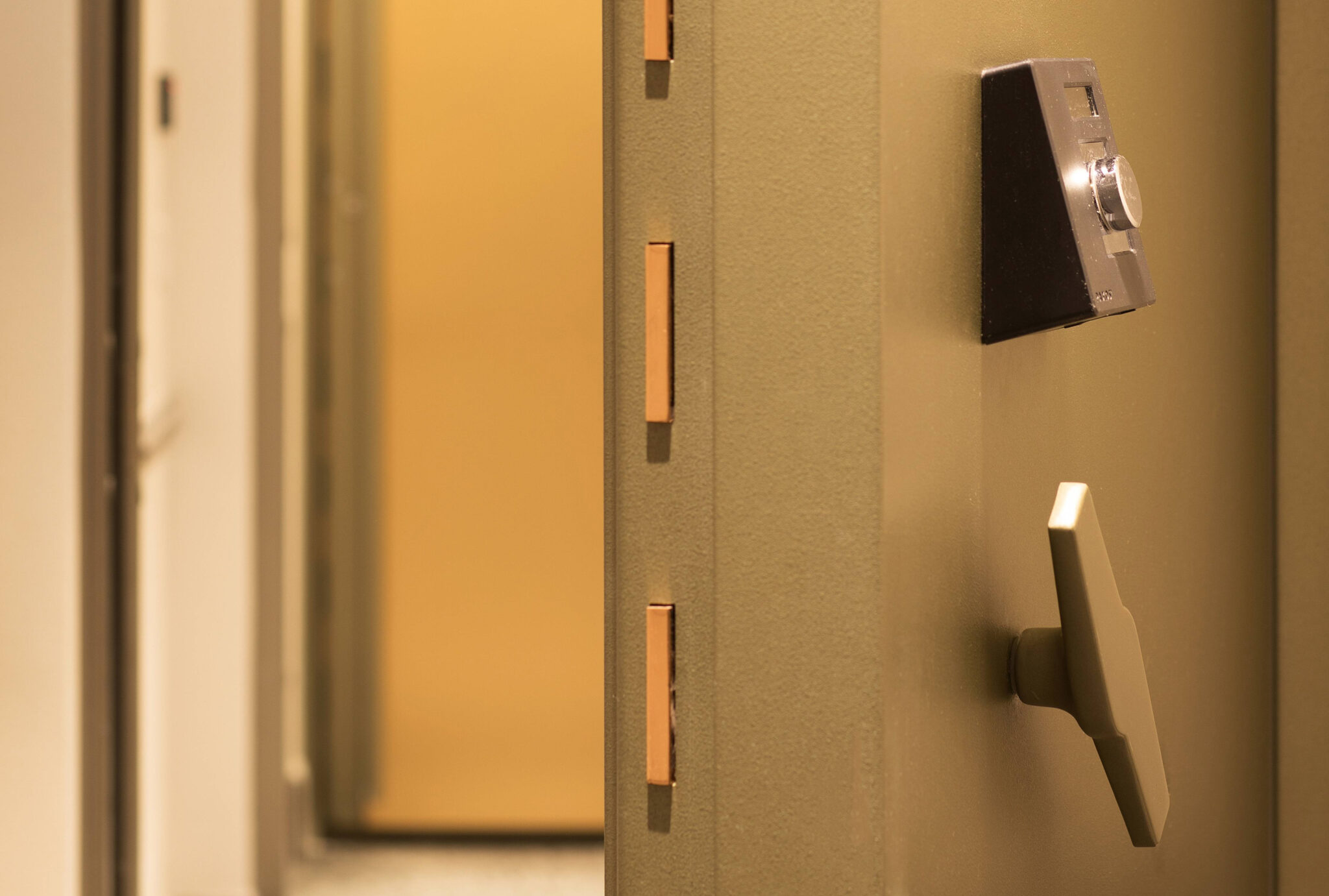 Cerberus Vaults & Doors - Burton Security